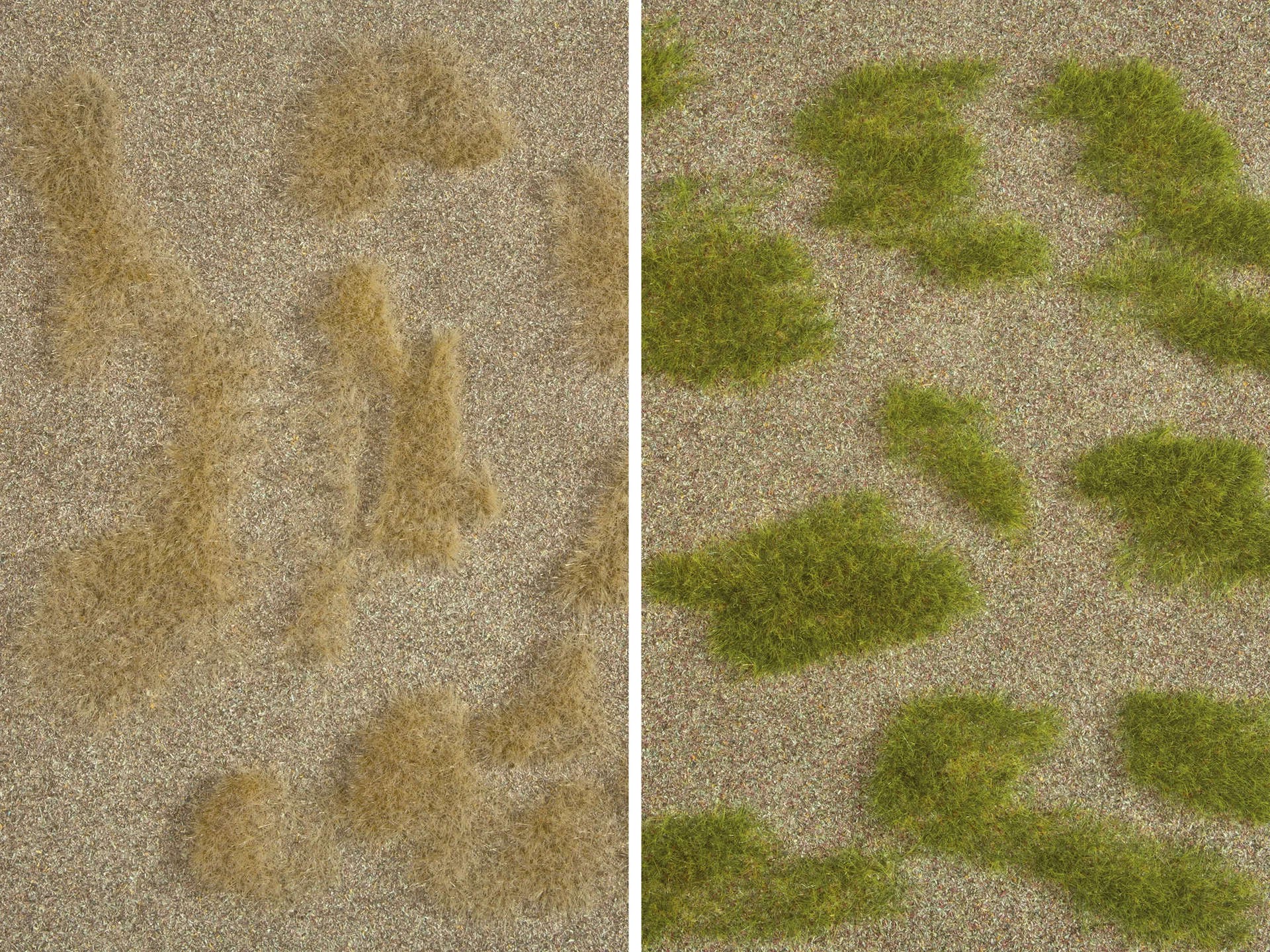 Noch - Natur+ Mini Tapete de Grama, "Grass Steppe" - Multi Escala ...